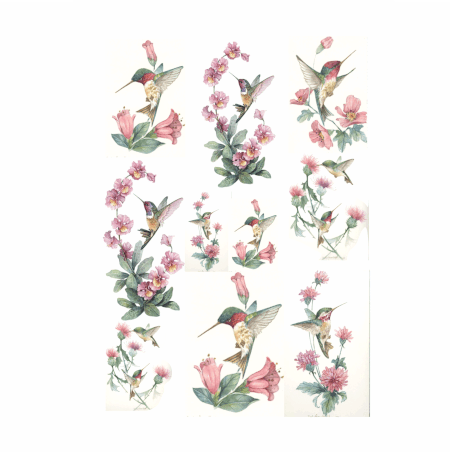 Decalques Beija Flor | Kako Decalques e Porcelanas